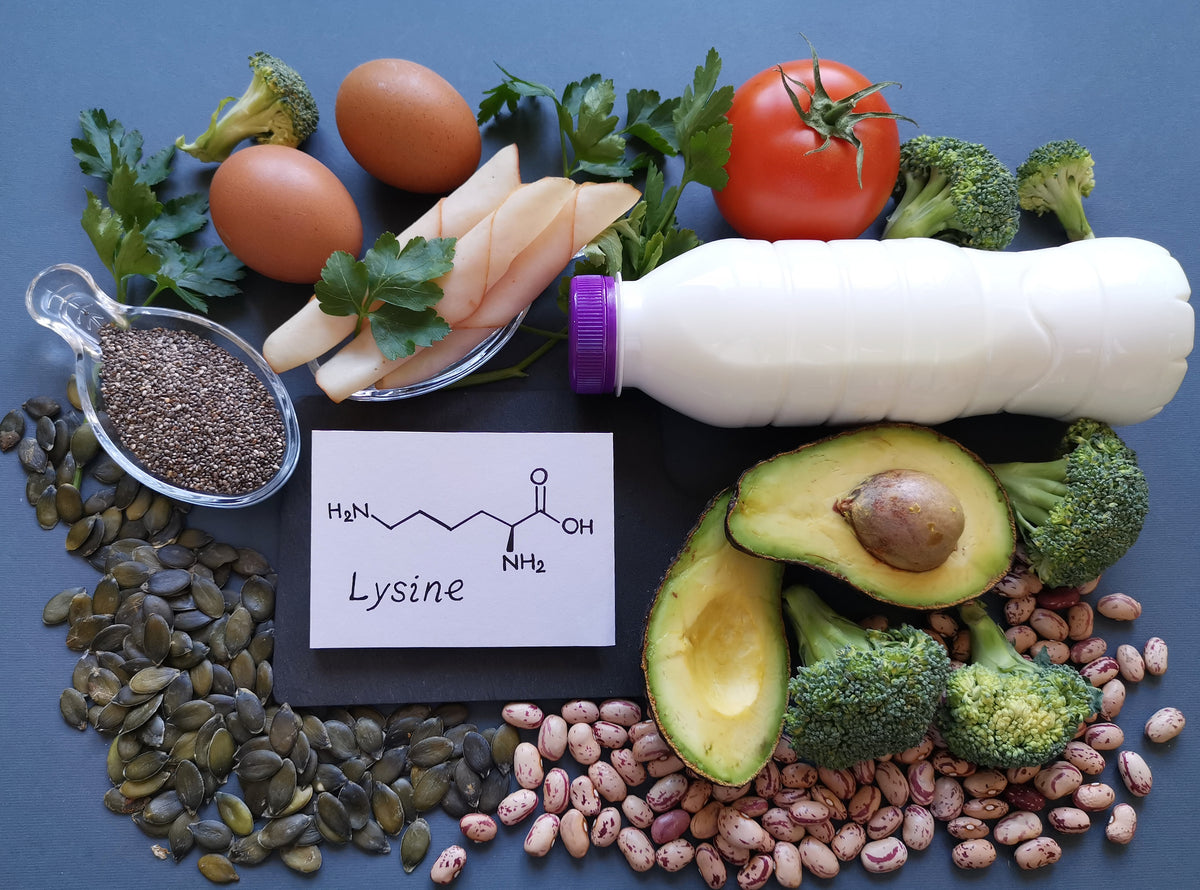 Lysine – Supplemented